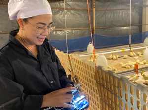 Nova-Tech Poultry - Nova-Tech Engineering